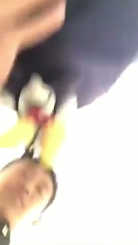 Palpis_s_524 - JP UPSKIRT CLUB