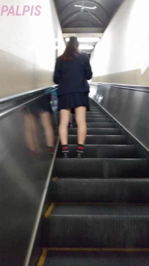 Palpis_s_522 - JP UPSKIRT CLUB
