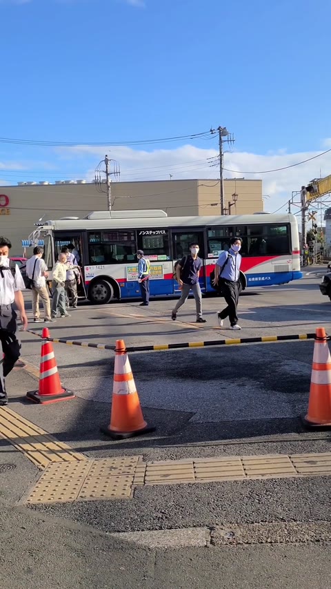 Palpis_s_528 - JP UPSKIRT CLUB